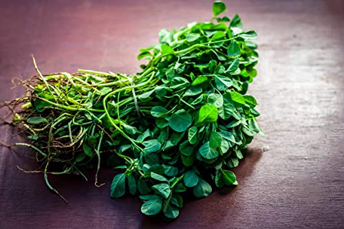 Creative Farmer Vegetable Seeds Gandhaphala Seeds - Methi Fenu Greek ...