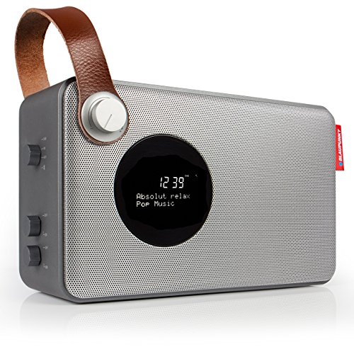6 Mejores Radios Digitales