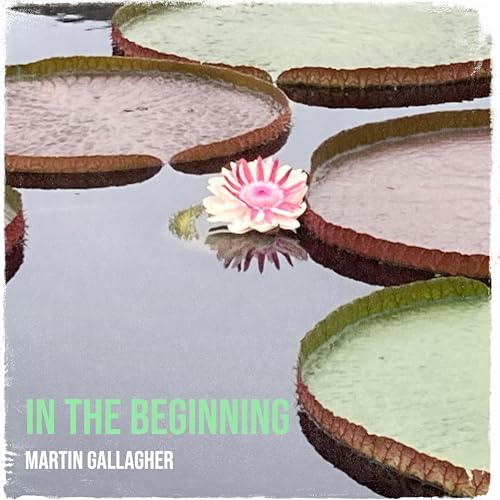 In the Beginning : Martin Gallagher: Amazon.fr: Téléchargement de Musique