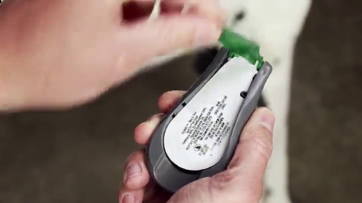 Watch Bio Spot Defense Smart Shield Applicator Spot on Flea and Tick ...