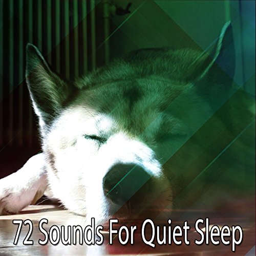 Amazon.com: 72 Sounds For Quiet Sleep : Bedtime Baby: Digital Music