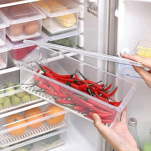 Buy RYLAN Fridge Storage Boxes Pack of 5 Food Storage Container, Fridge ... Buy RYLAN Fridge Storage Boxes Pack of 5 Food Storage Container, Fridge ...