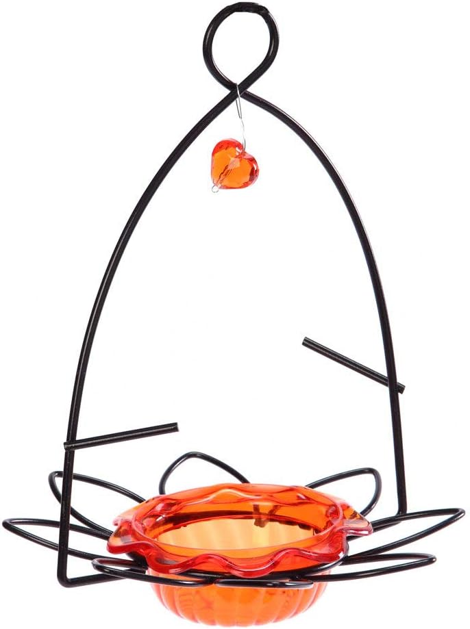 Amazon.com: CTW Home Collection Flying Squirrel Bird Feeder : Pet Supplies