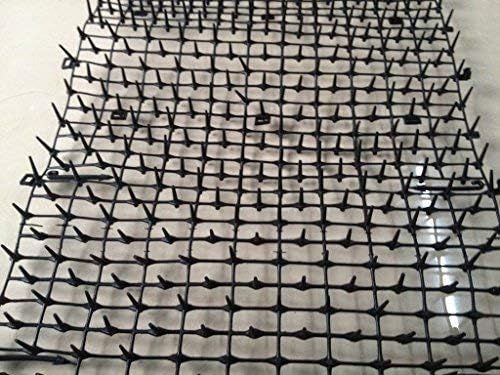 Amazon.com: Cat scat mat Anti-Cats Network Digging Stopper Prickle ...