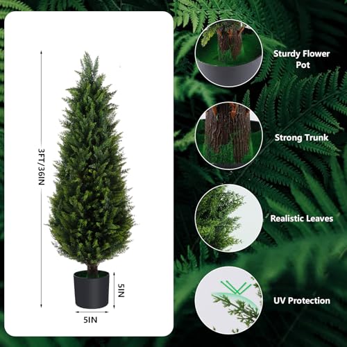 High-Quality Silk Trees at Affordable Prices - Silk Tree Warehouse Depot
