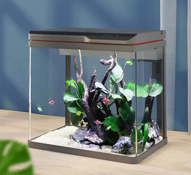 Sunsun Glass Aquarium with Air Pump, LED Cool Lights and Filter ...