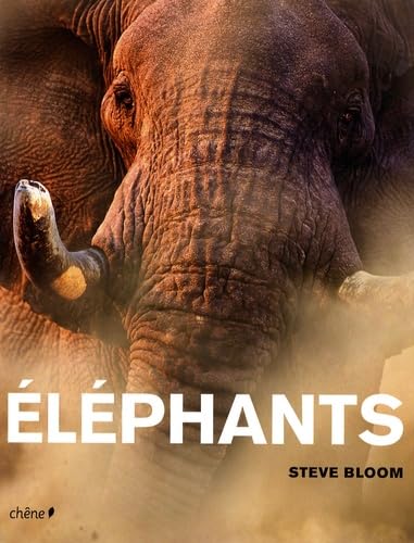 Amazon.fr - Eléphants - Bloom, Steve - Livres