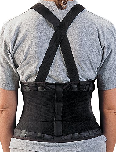 Rolyn Prest Rolyan Workhard Back Supports : Light Duty or Heavy-Duty ...