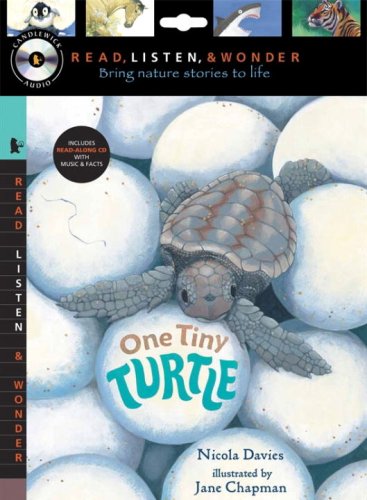 One Tiny Turtle with Audio, Peggable: Read, Listen & Wonder: Davies ...