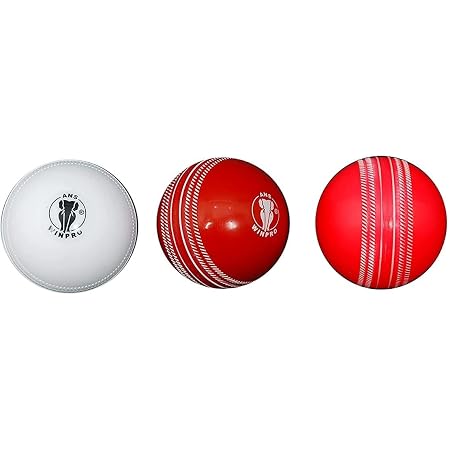 jaspo T-20 Plus Practice Cricket Ball/Wind Balls (125-130 GMS) for ...