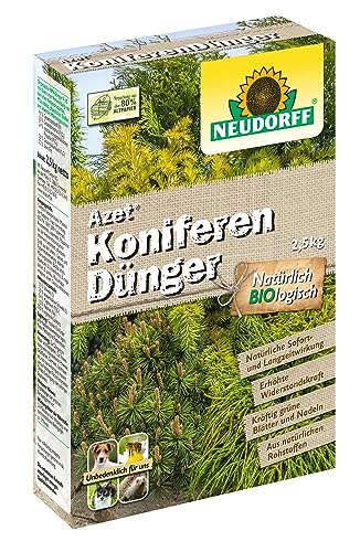 Konifere Thuja – Die 15 besten Produkte im Vergleich - Hausbauberater ...