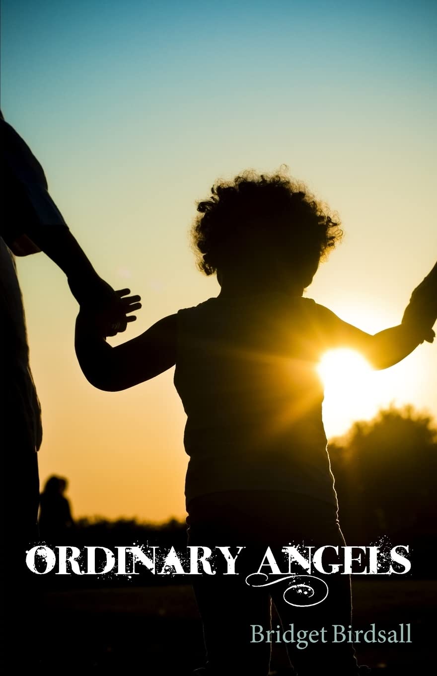 Ordinary Angels: Birdsall, Bridget: 9781453850503: Amazon.com: Books