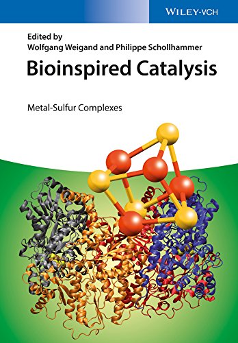 Bioinspired Catalysis: Metal-Sulfur Complexes 1, Weigand, Wolfgang ...