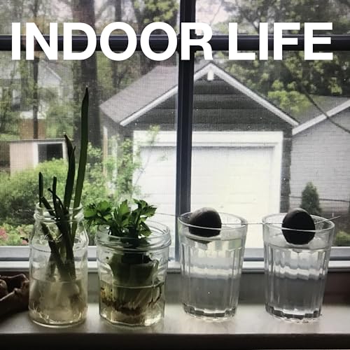 Amazon.com: Indoor Life : Mike Simonetti: Digital Music