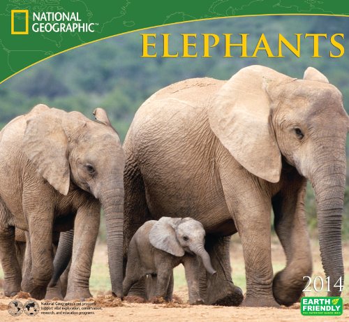 2014 National Geographic Elephants Deluxe Wall: Zebra Publishing Corp ...