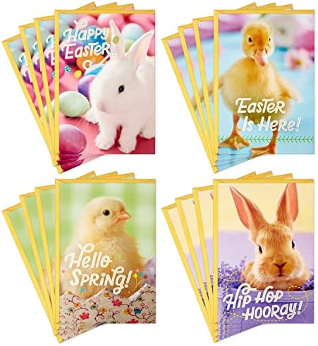 Amazon.com: Hallmark Easter Gift Card Holder Assortment, Happy Easter ...