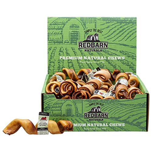 10 Red Barn Bully Springs That Will Have Your Pup Begging for More: A ...