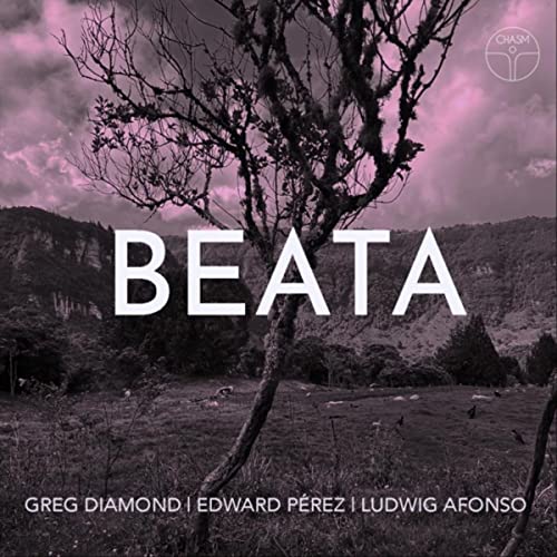 Play Beata by Greg Diamond on Amazon Music