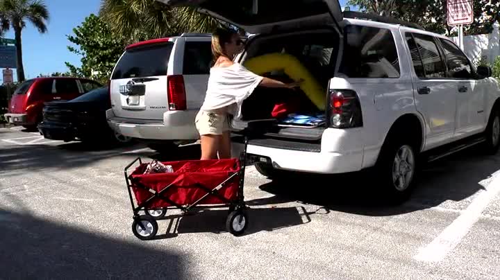 Beachcomber Collapsible Beach Cart
