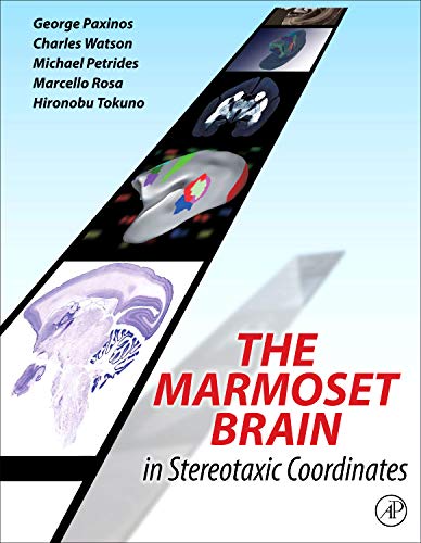 The Marmoset Brain in Stereotaxic Coordinates: Paxinos, George, Watson ...