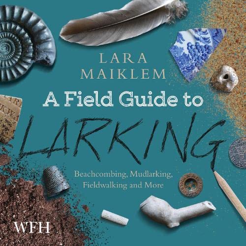 A Field Guide to Larking: Amazon.co.uk: Maiklem, Lara: 9781004056484: Books