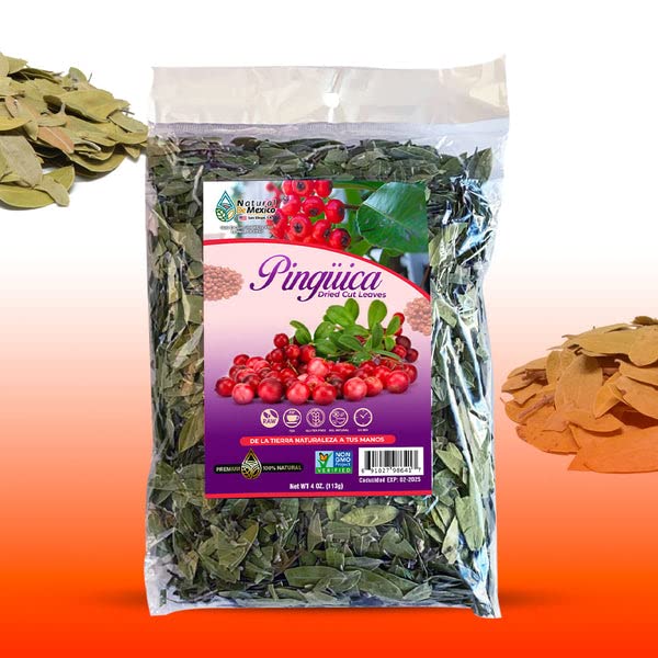 Amazon.com : Pingüica Hojas Hierba Tea 4 oz-113g Pointleaf Manzanita ...