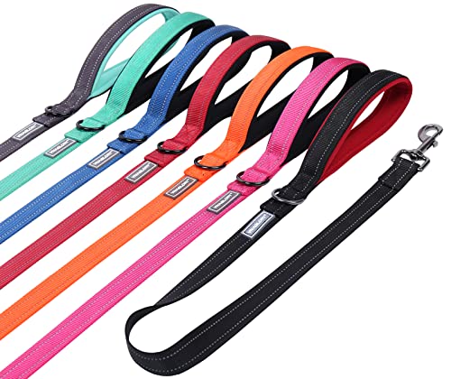 Top 10 Best 4 Foot Dog Leash : Reviews & Buying Guide - Katynel