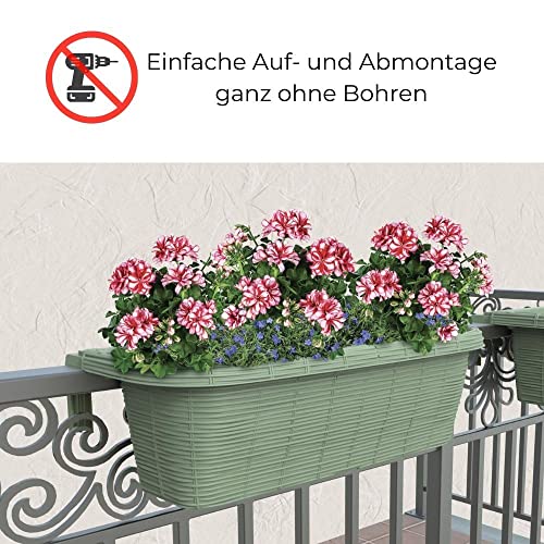 Schöne Geländer Blumenkasten Lidl Bilder
