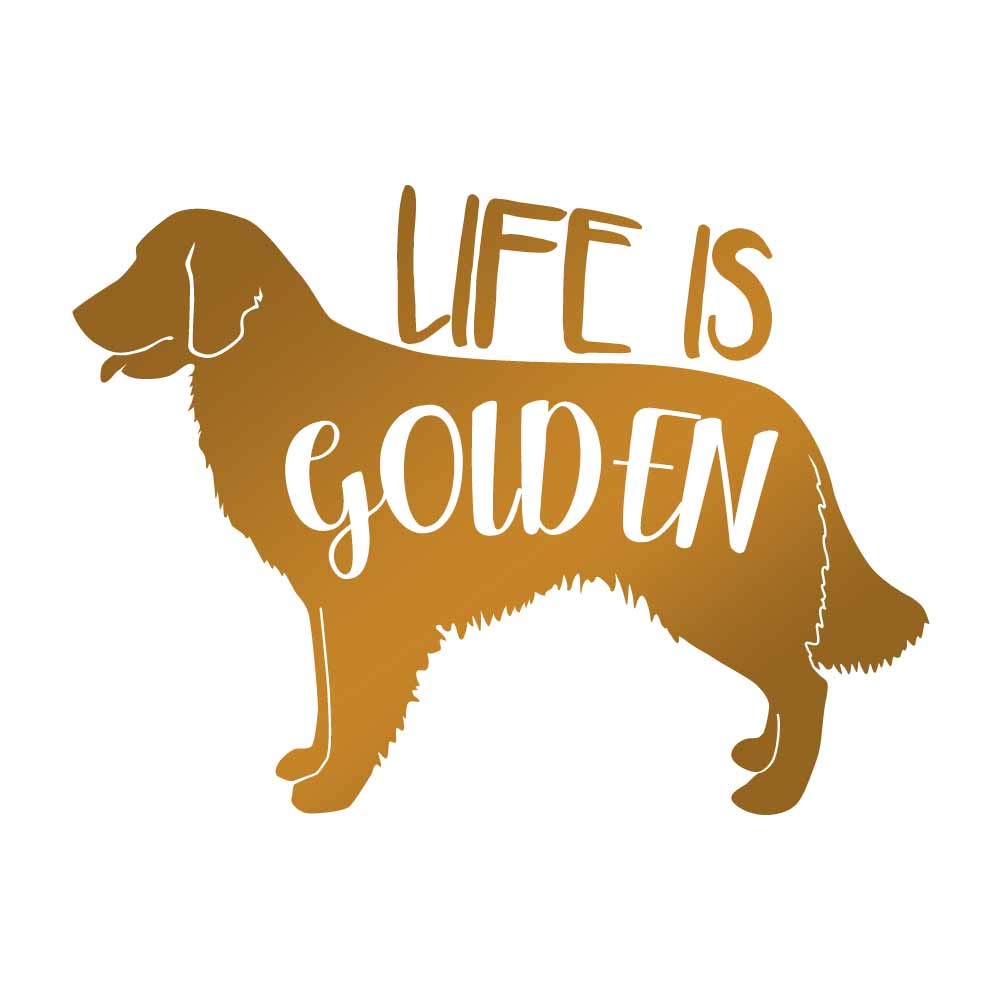 Can Golden Retrievers Live Outside