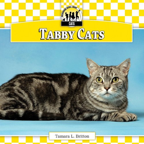 Tabby Cats (Cats, Set 1): Britton, Tamara L.: 9781616134020: Amazon.com ...