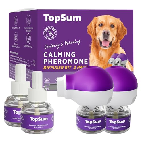 7 Best Calming Plug-Ins for Dogs 2025