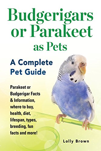 Parakeet Care Sheet