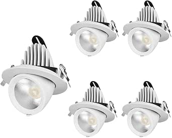 YYWYNUS (5 Pack Gimbal LED Recessed Light Aluminum Eyeball Gimbal LED ...