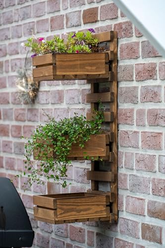 Snapklik.com : Dobar Green Label 58388FSCe 3-step Flower Ladder For ...