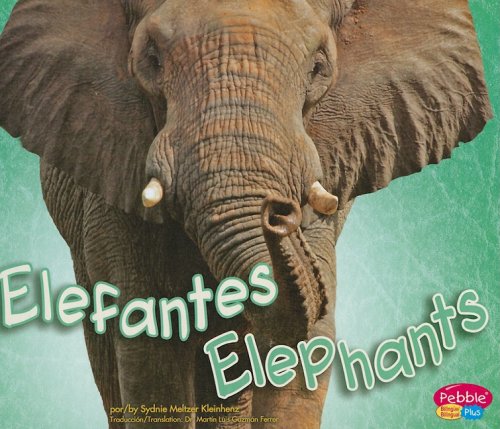 Elefantes/ Elephants (Animales Africanos / African Animals) (Spanish ...