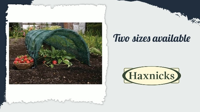 Haxnicks Giant Net Tunnel