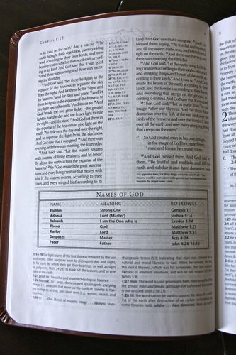 The Ryrie NASB Study Bible Soft-Touch Brown Red Letter (Ryrie Study ...