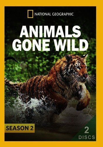 Amazon.com: Animals Gone Wild Season 2 : ANIMALS GONE WILD: SEASON 2 ...