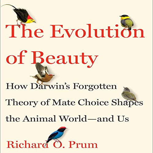 Amazon.co.jp: The Evolution of Beauty: How Darwin's Forgotten Theory of ...
