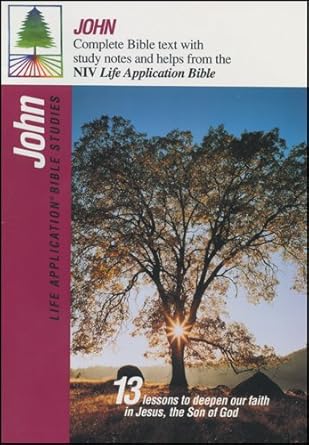John (Life Application Bible Studies (NIV)): Tyndale: 9780842327176 ...
