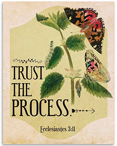 Amazon.com: Trust the Process Bible Verse 11x14 Unframed Poster ...