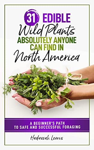 31 Edible Wild Plants Absolutely Anyone Can Find in North America: A ...