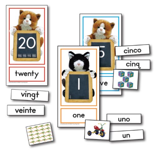 Amazon.com: Counting Cats Learning Cards: 9781933052465: Key Education ...