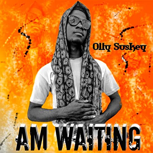 Amazon.co.jp: Am Waiting : Olly Suskey: Digital Music