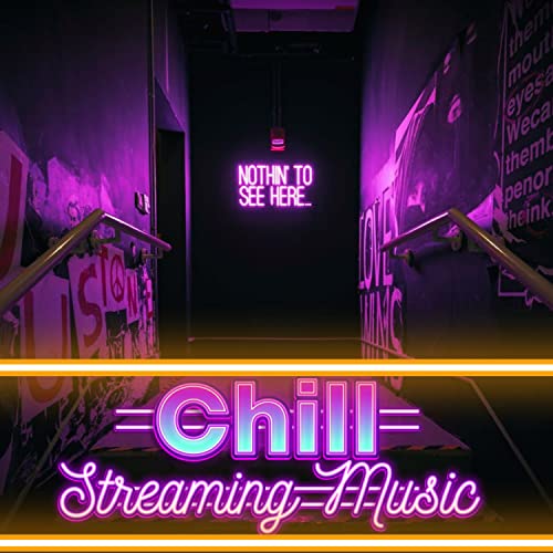 Amazon.com: Chill Lo Fi For Twitch Game Streaming : Chill Streaming ...