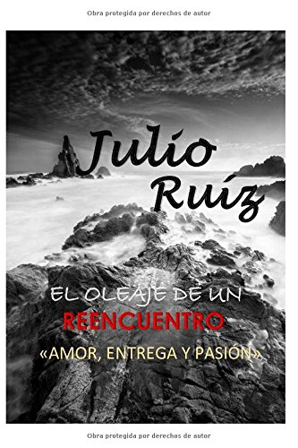 El Oleaje de Un Reencuentro : Ruíz, Julio: Amazon.es: Libros