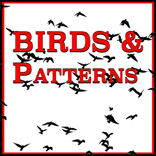 Amazon.com: Birds & Patterns: A High Contrast Animal Book eBook : Press ...