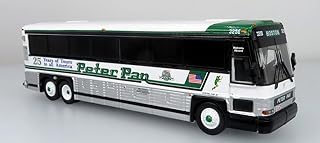 Riding Peter Pan Bus: A Beginner's Guide | ShunAuto