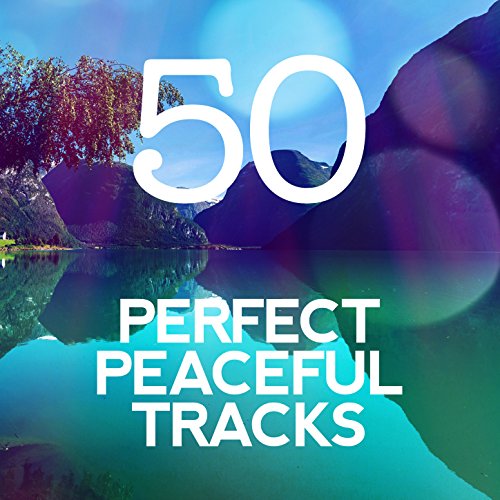 Play 50 Perfect Peaceful Tracks by Erik Satie, Franz Liszt & Robert ...