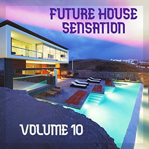 Amazon.com: Future House Sensation, Vol.10 (BEST SELECTION OF CLUBBING ...